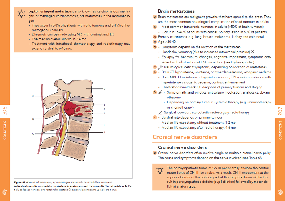 Pocket Neurology (2024) – Compendium Medicine